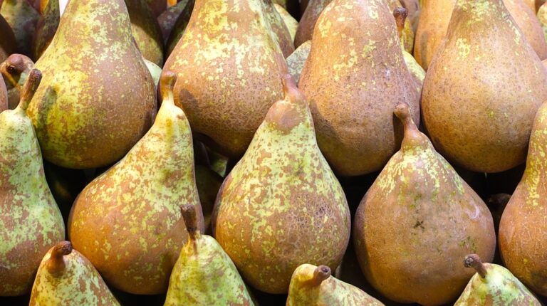 Conference Pears for Wholesalers | Fruit Suppliers | Fru.Eat